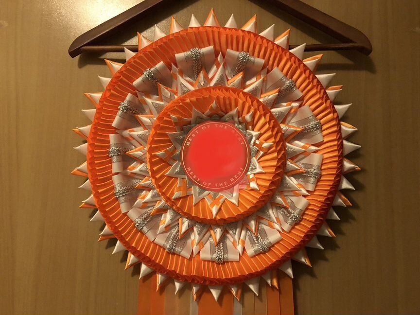 Новая наградная розетка, диаметр 40см