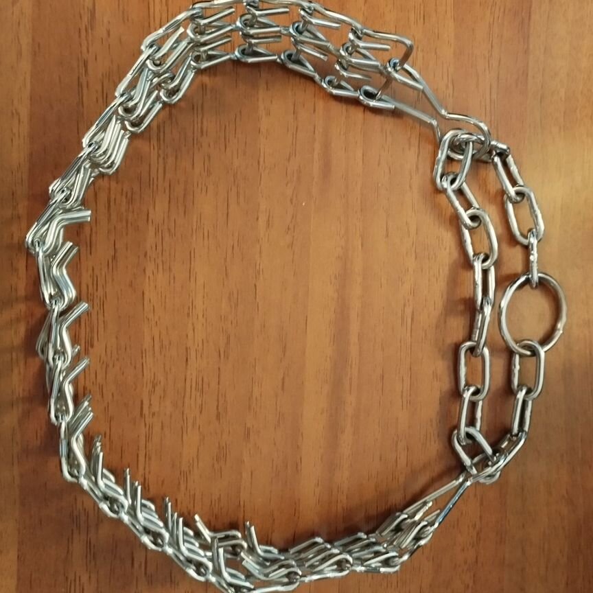 Ошейник строгий