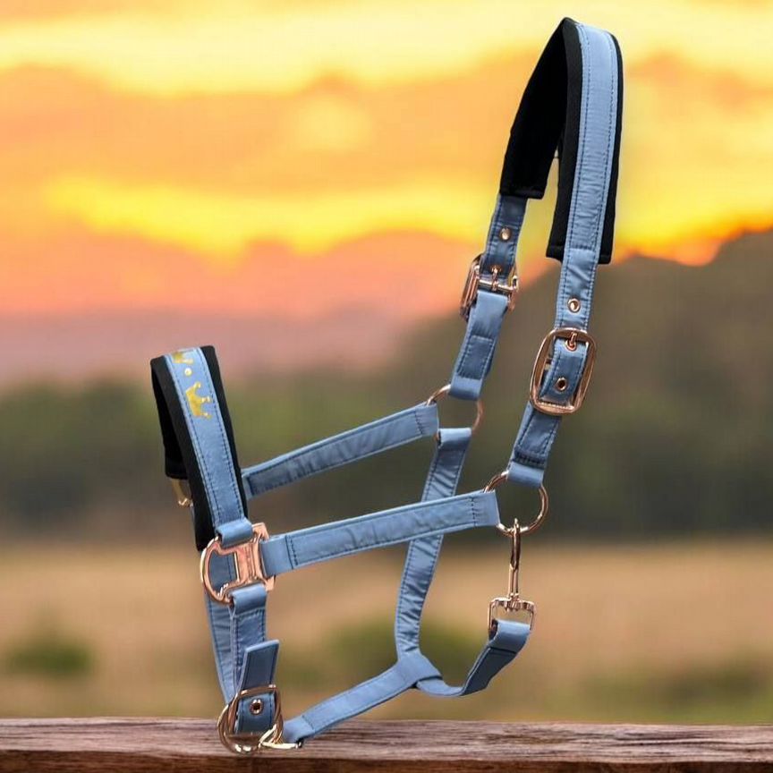 Недоуздок новый twg (full)