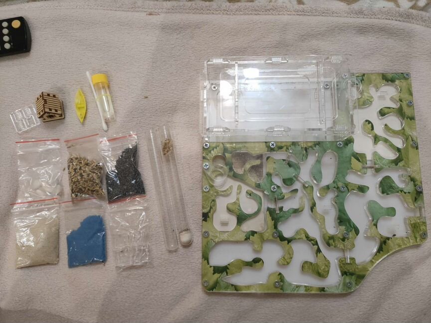 Формикарий (домик-лабиринт для муравьев)