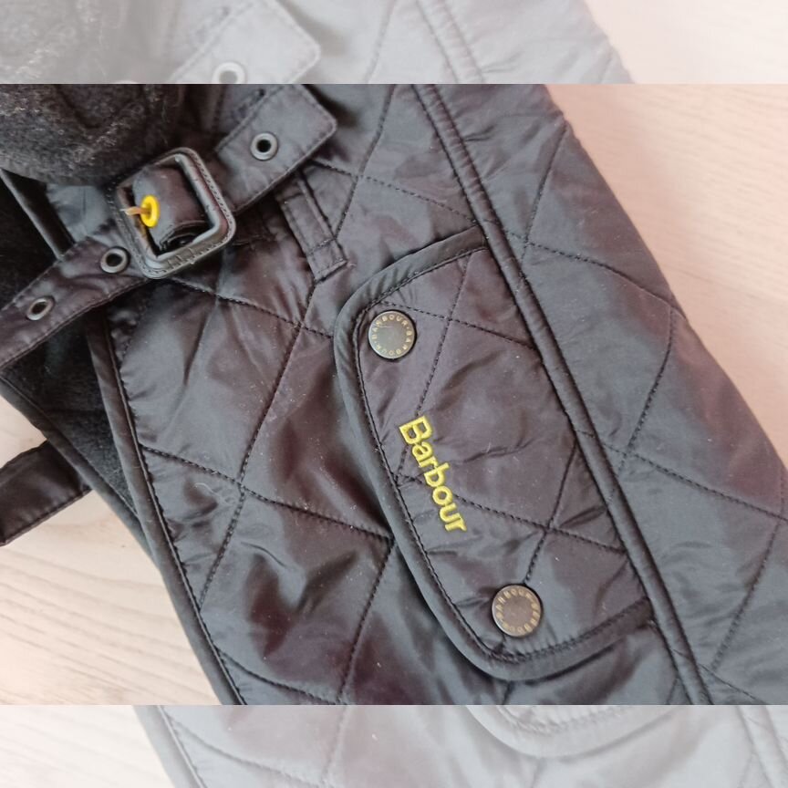 Костюм для собаки Barbour (m)