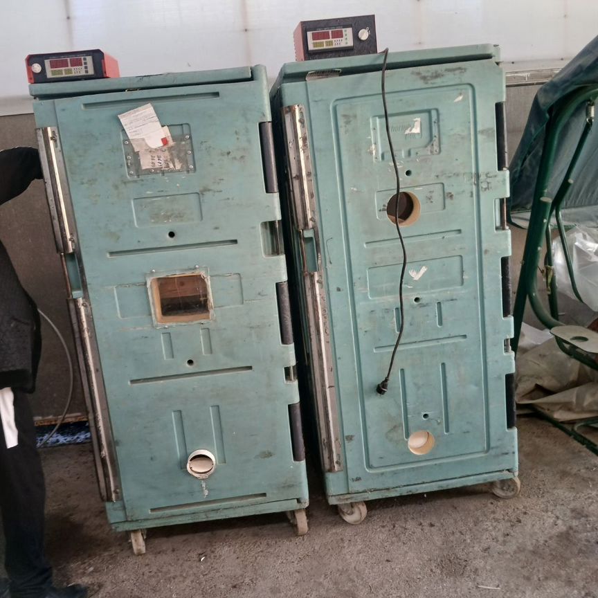 Инкубатор для яиц автоматический бу