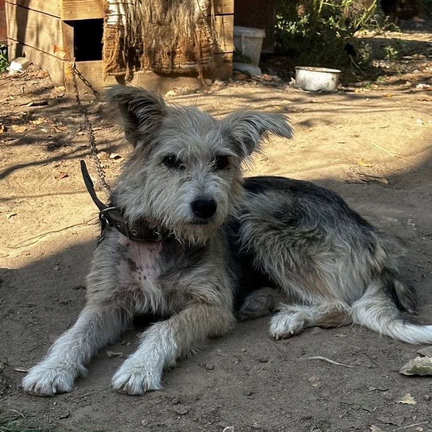 Мне очень грустно