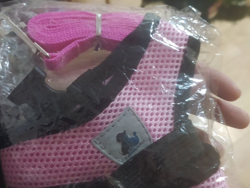 Шлейка для кошки