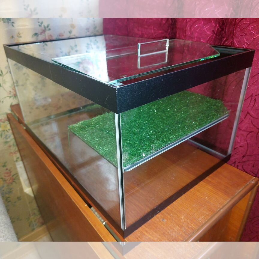 Аквариум для красноухой черепахи