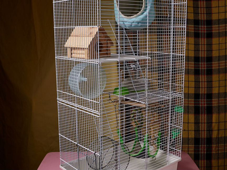 Клетка для крысы крыс дегу хомяков грызунов шиншил