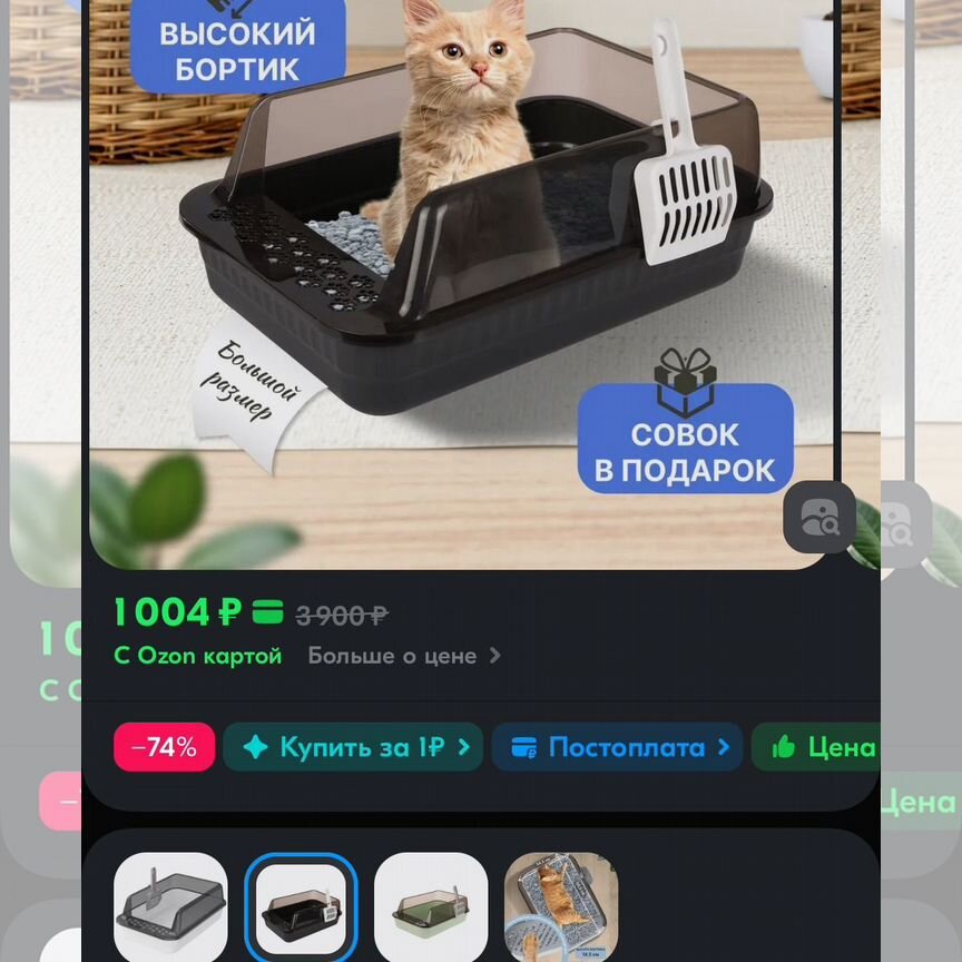 Большой лоток с ковриком для кошек с высоким