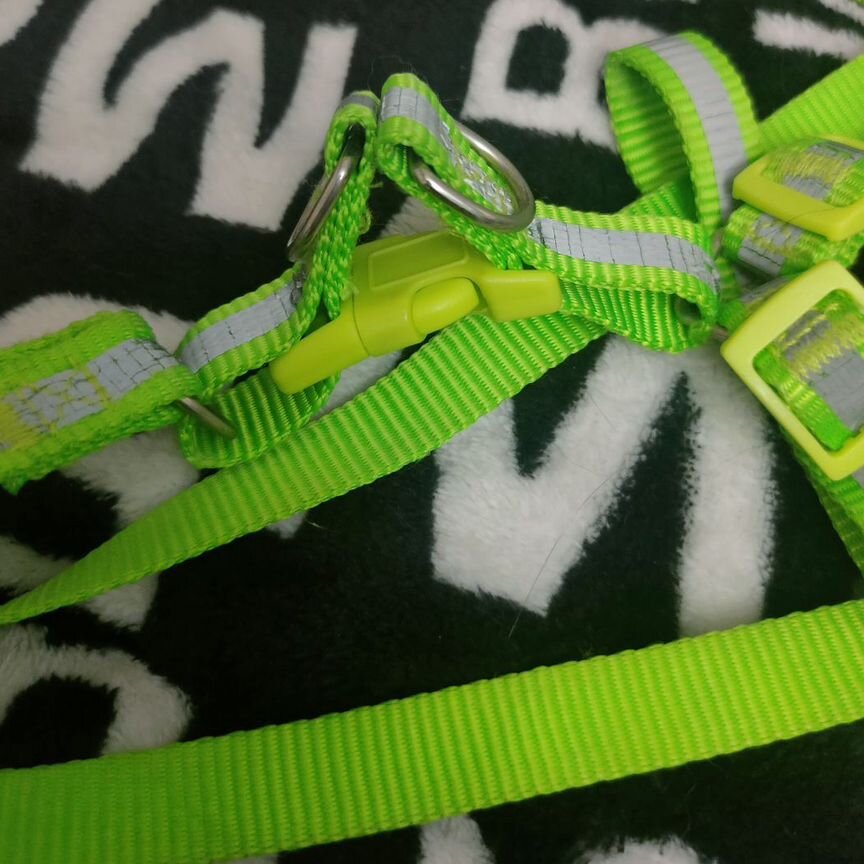 Шлейка для небольших собак с поводком