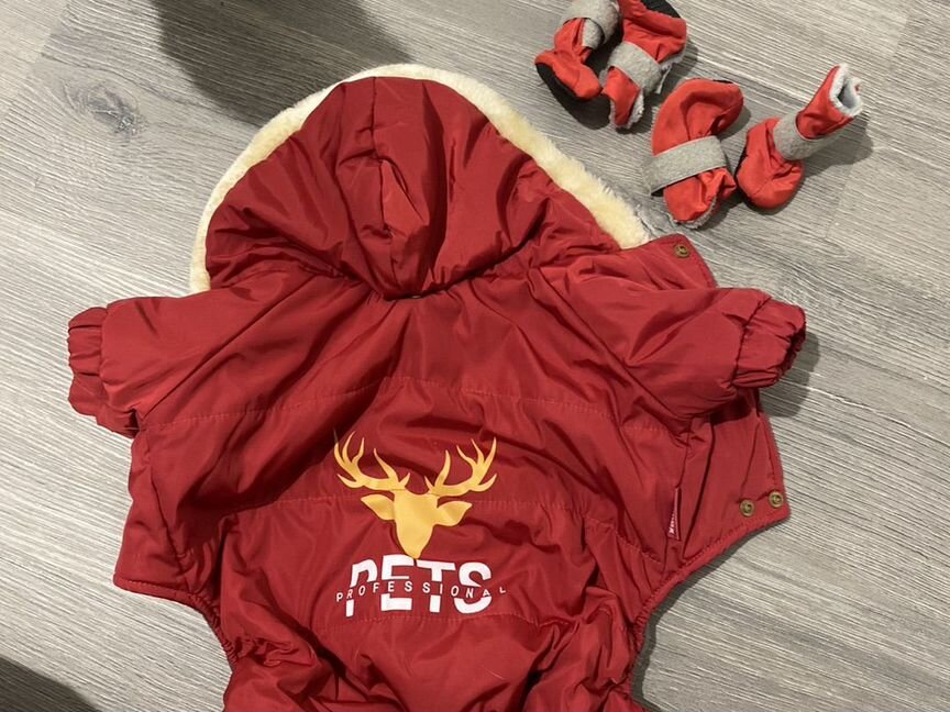 Одежда для собак