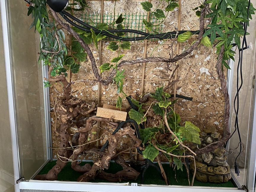 Террариум для рептилий бу