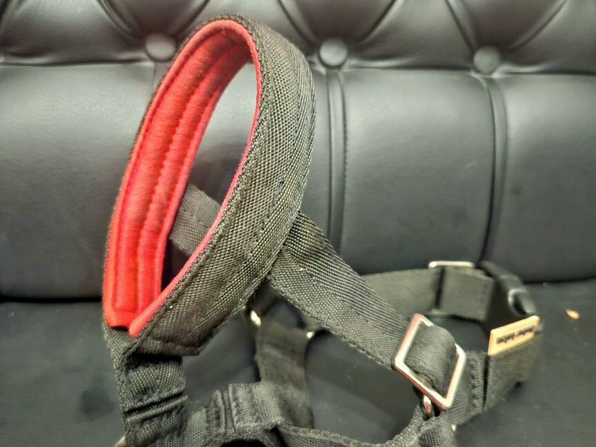 Недоуздок для собак