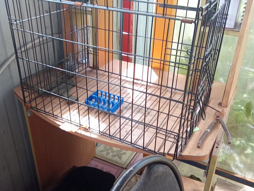 Клетка для перевозки собак