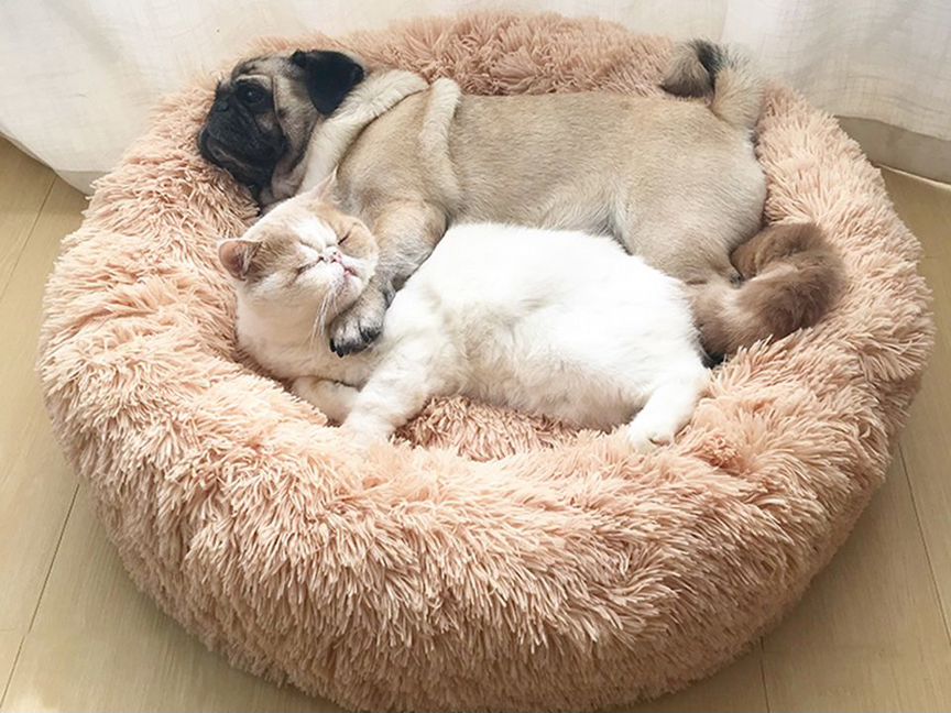 Лежанка кровать для кота, собаки