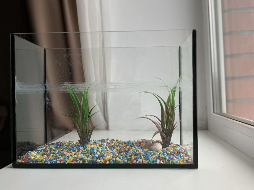 Аквариум для рыбы