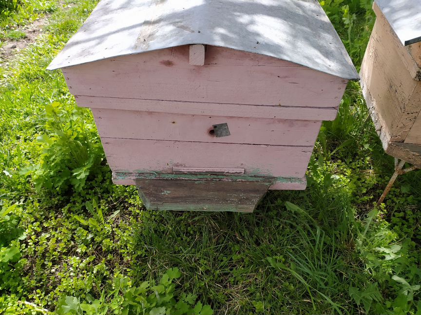 Ульи для пчел