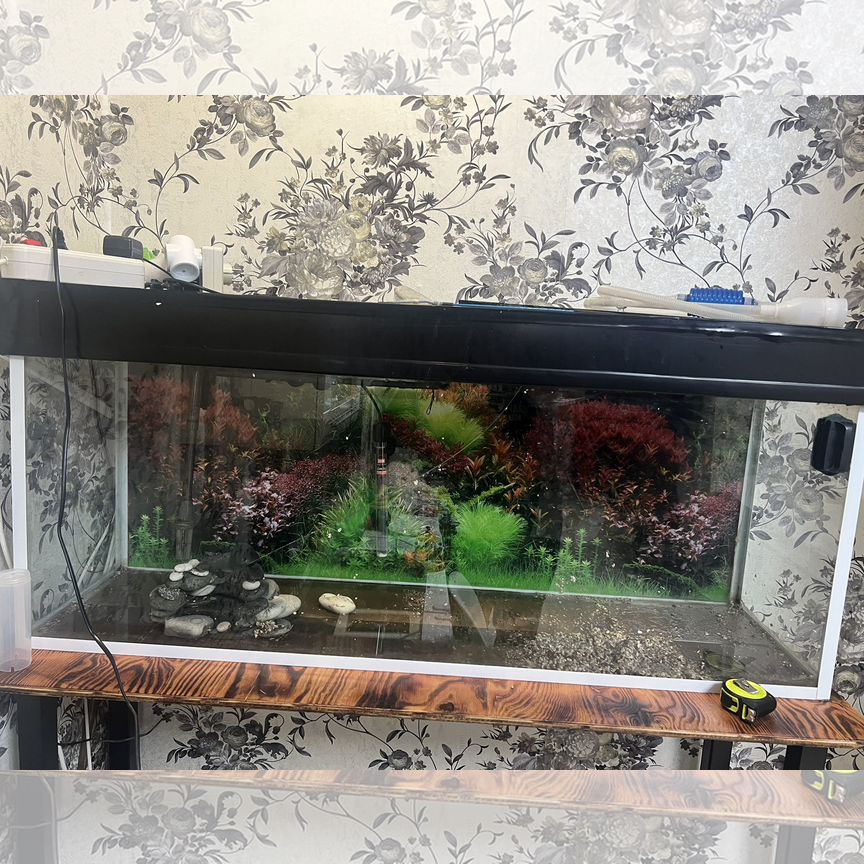 Аквариум 160 литров