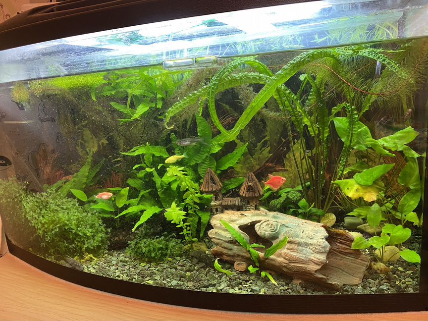 Аквариум с рыбками бу