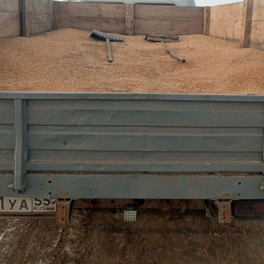 Зерноотходы пшеничные