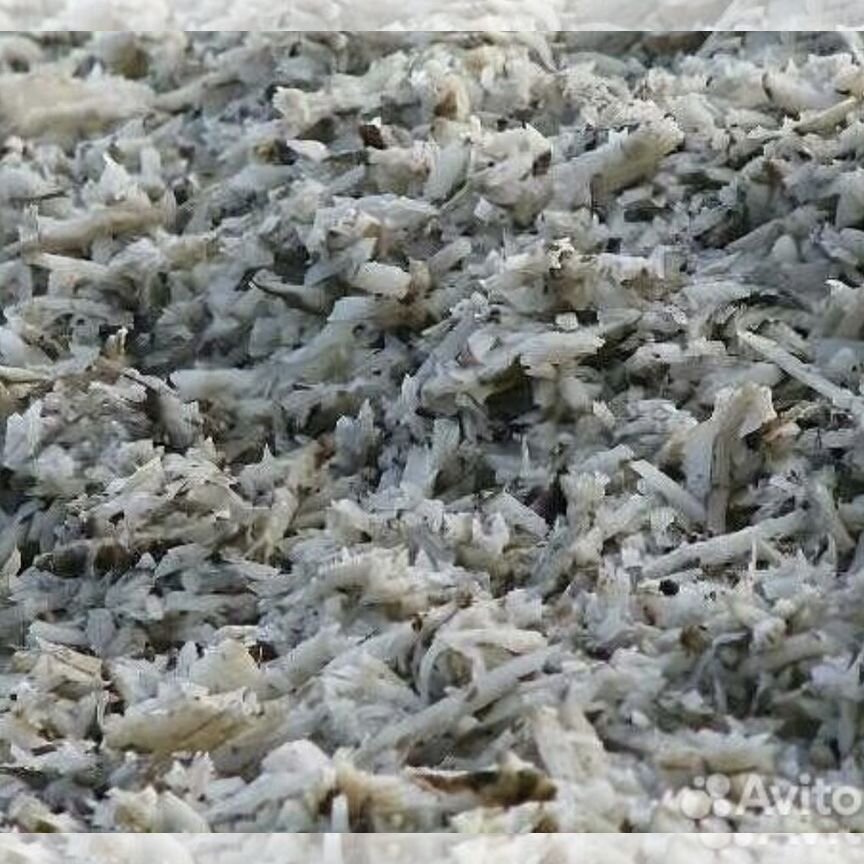 Жом свекловичный сырой