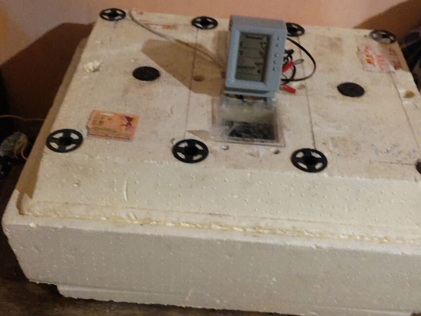 Инкубатор золушка