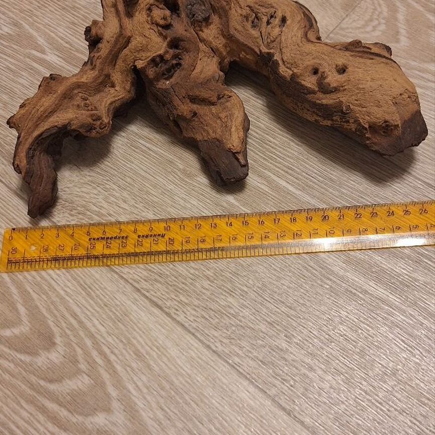 Коряга мангровая большая