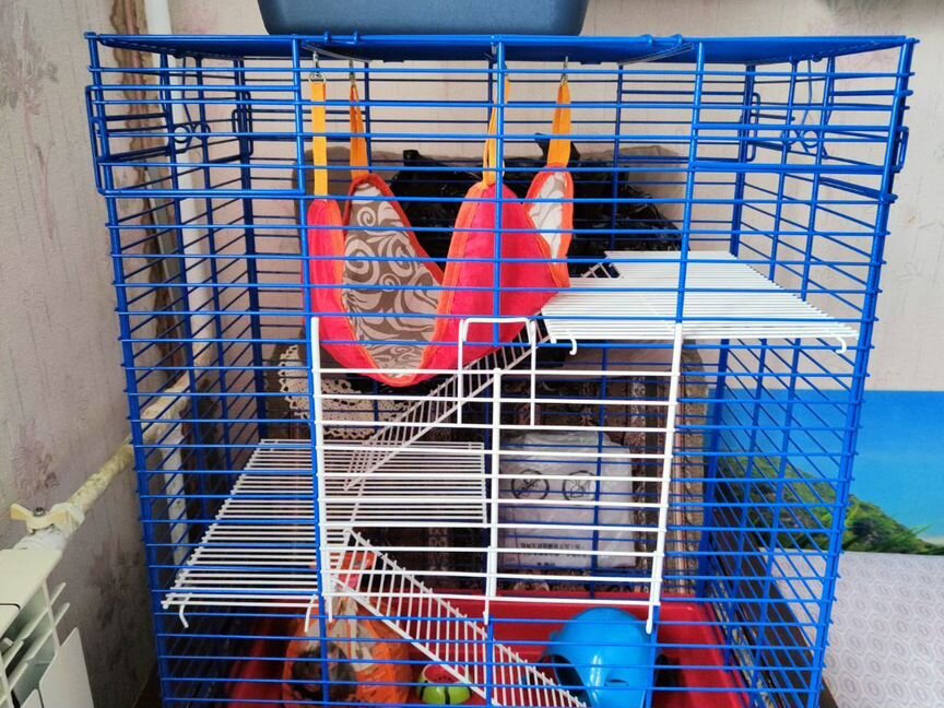 Клетка для грызунов большая