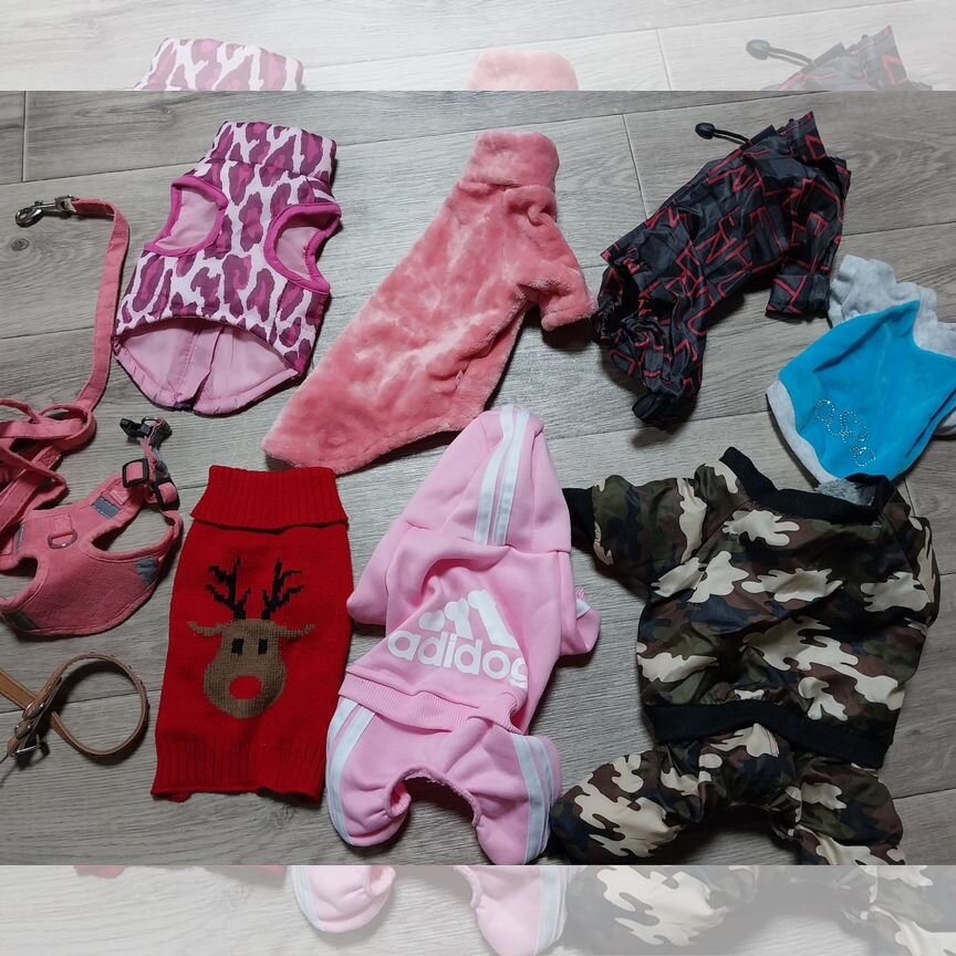 Одежда для маленькой собачки