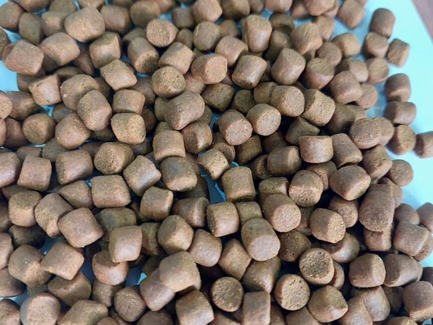 Корм для прудовой рыбы