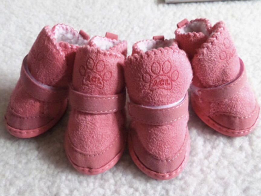 Обувь для маленьких собак