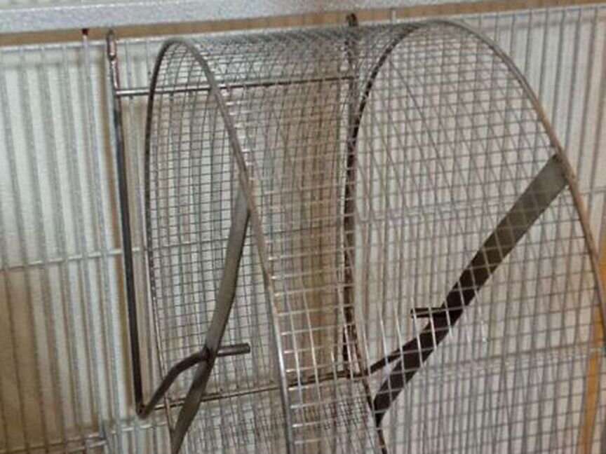 Колесо для грызунов, хомяков большое 30 см