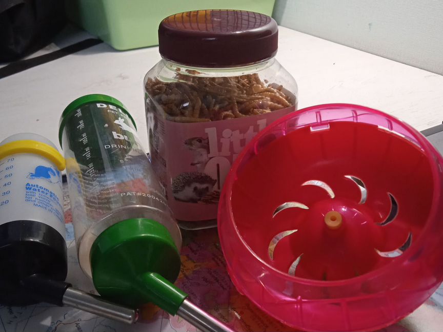 Вещи для животных