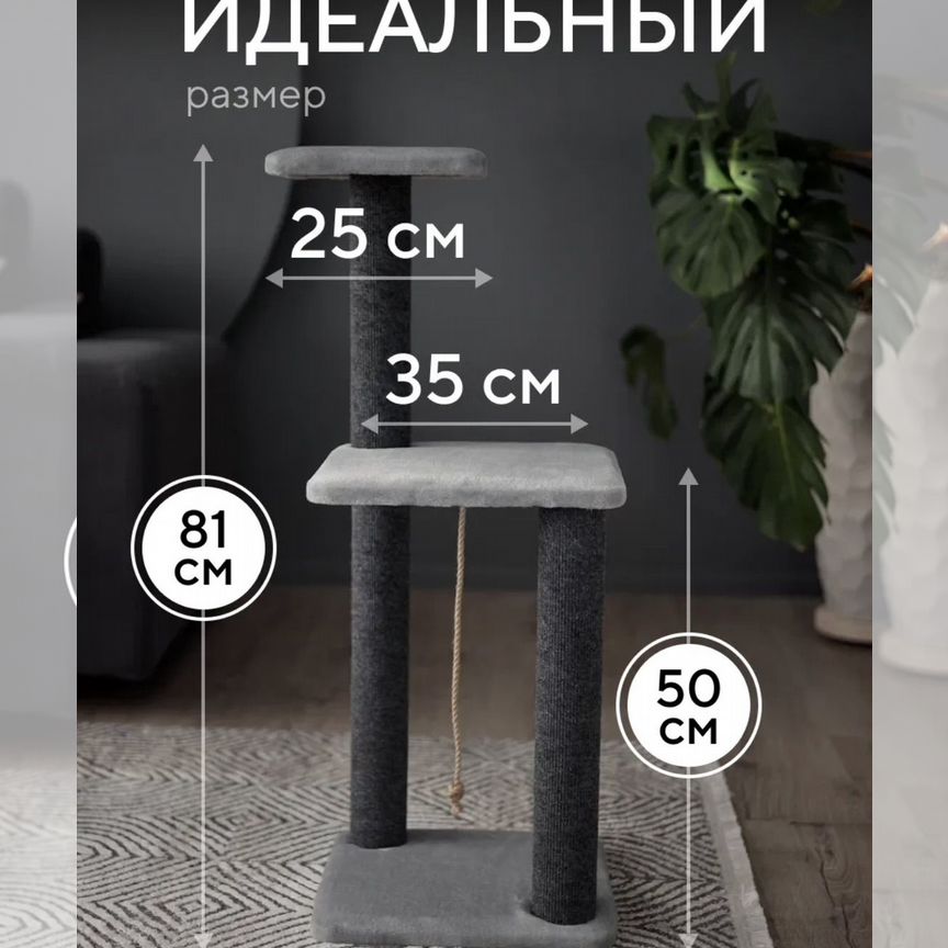 Когтеточка новая для кошки