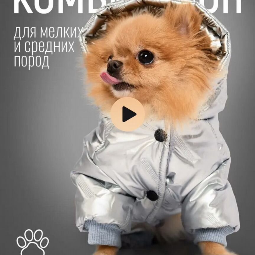 Теплый комбенезон для мелких собакак