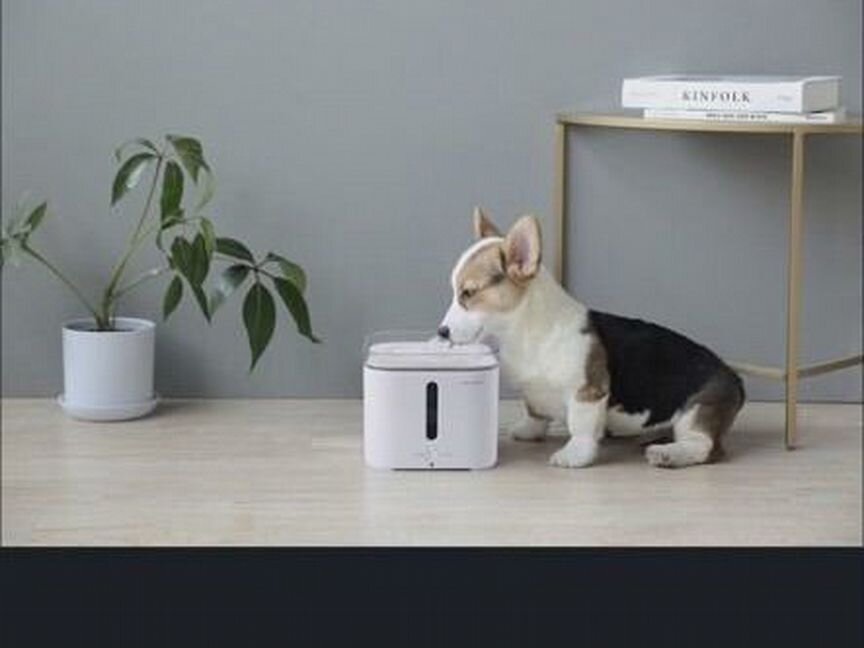 Питьевой фонтан для животных Petkit Eversweet 2S