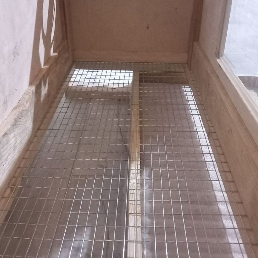 Брудер циплячий