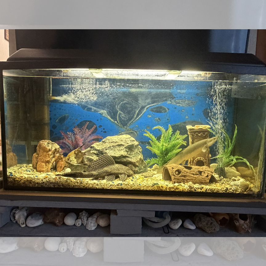 Аквариум 150 л с рыбами