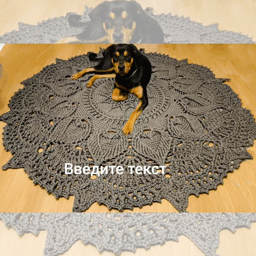 Ротвейлер, щенок