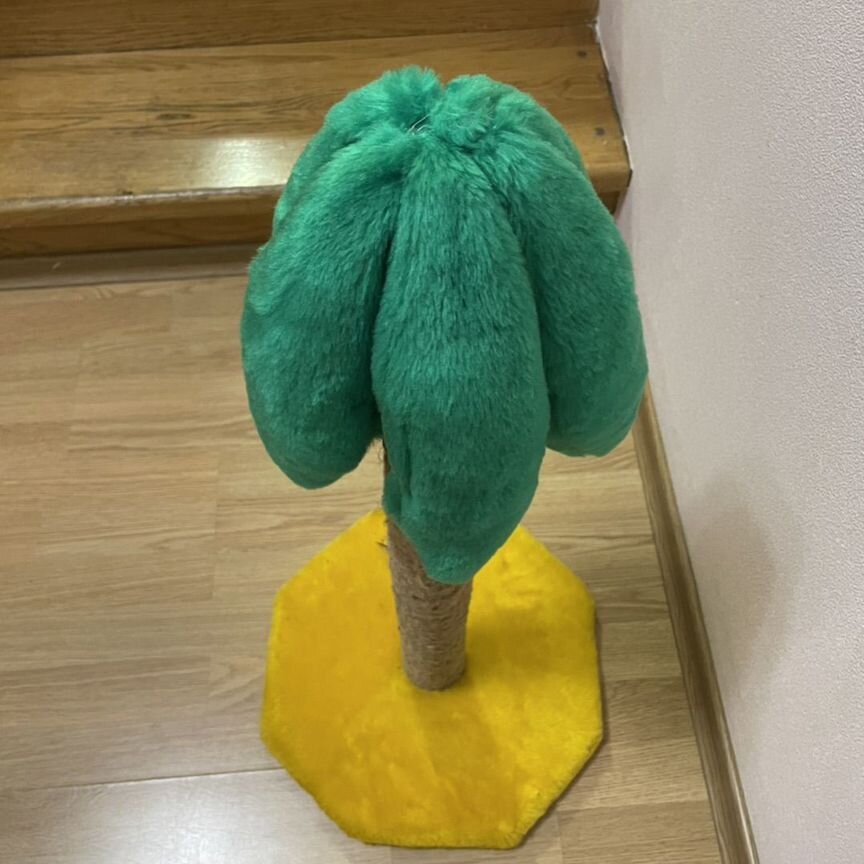 Когтеточка для кошки