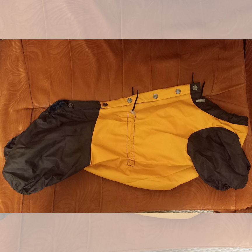 Одежда для собак корги