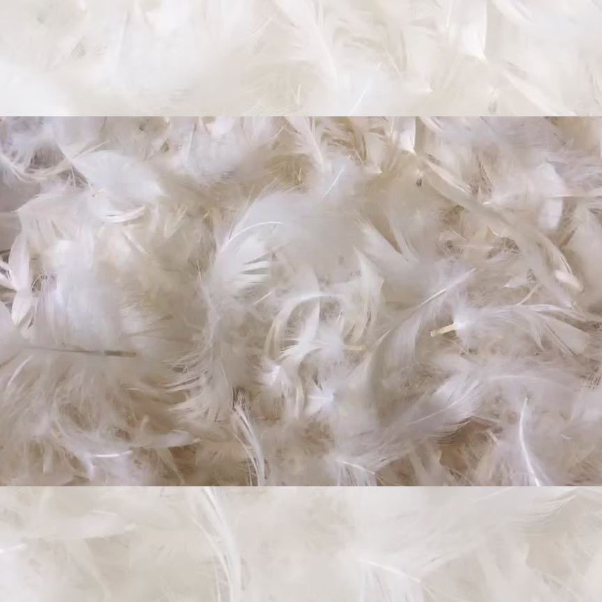 Продам гусинное пух - перо