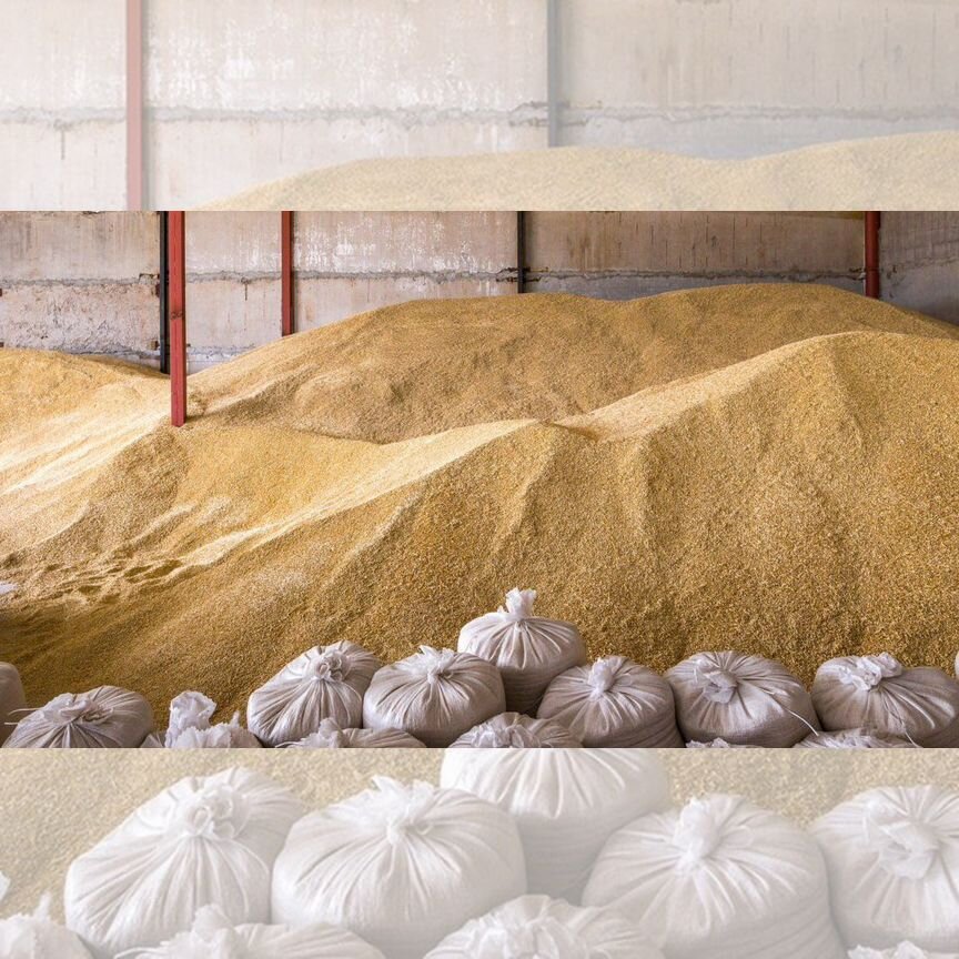 Зерно пшеница ячмень