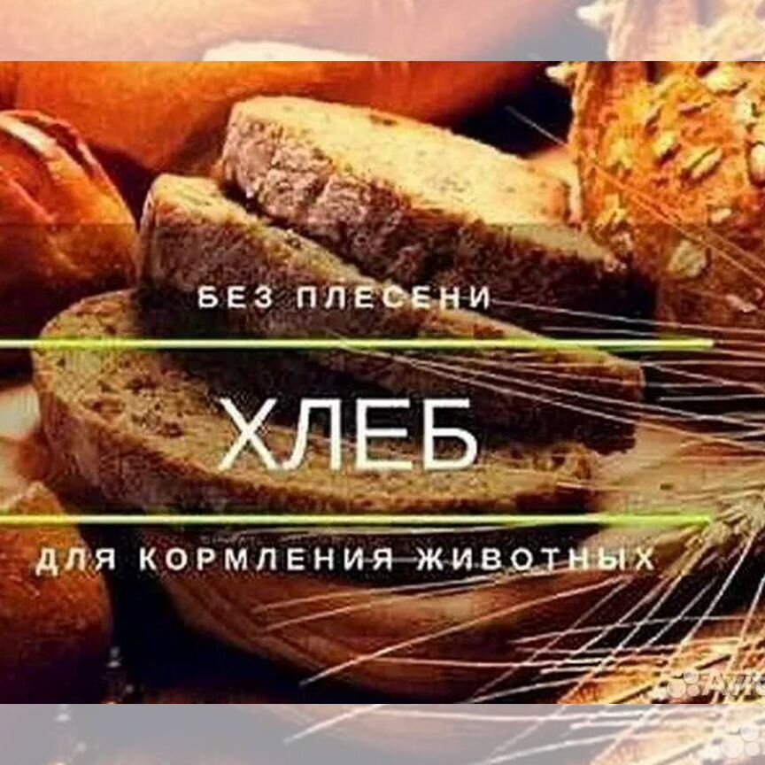 Продам хлеб для животных