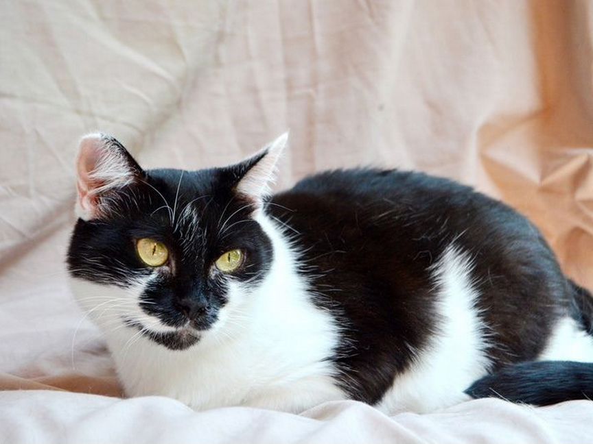 Люська хочет домой