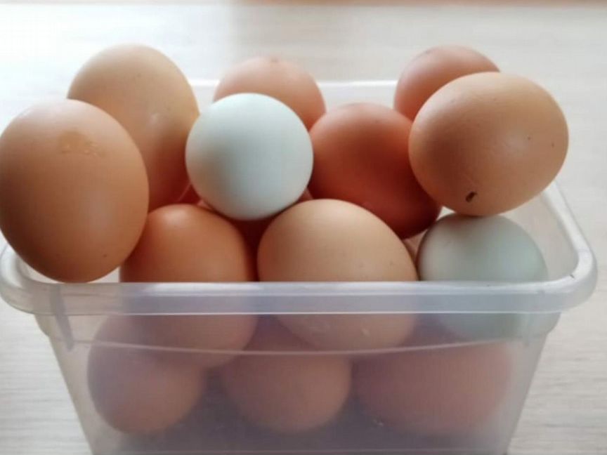 Куриные яйца
