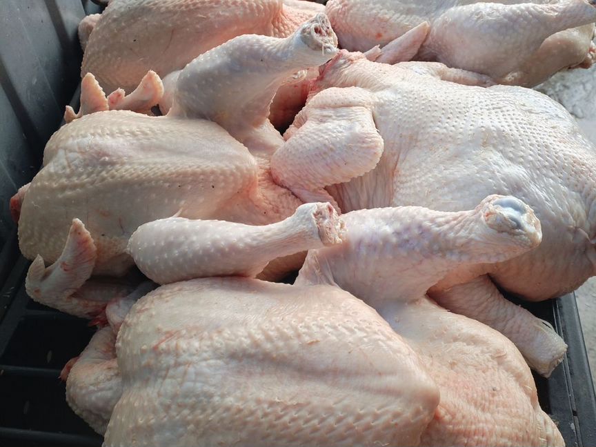 Забой, ощипывание и разделка птицы