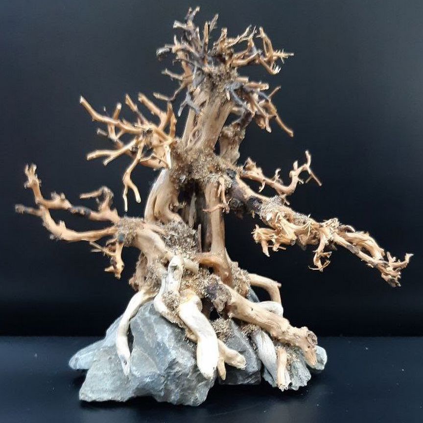 Коряга "Бонсай" 15х11х15см