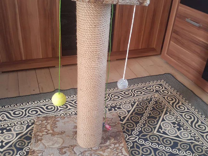 Когтеточка