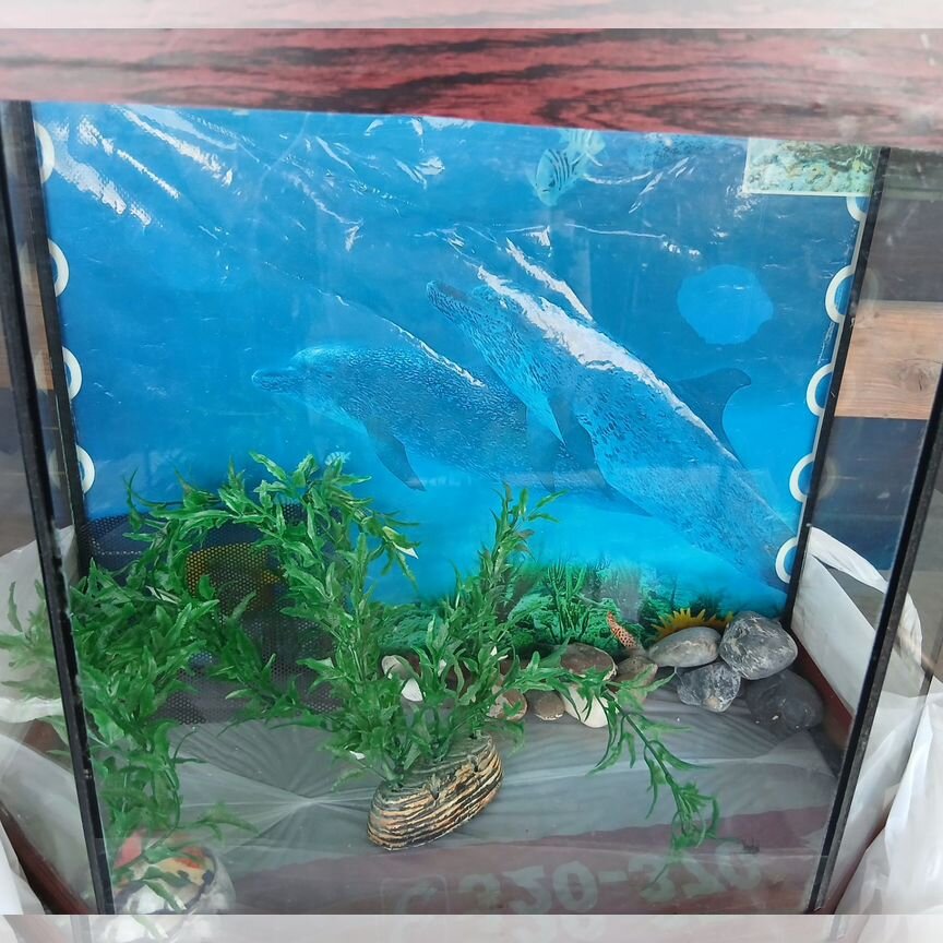 Аквариум