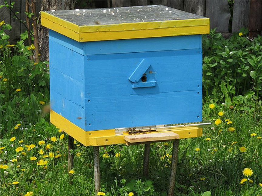 Улей для пчел бу