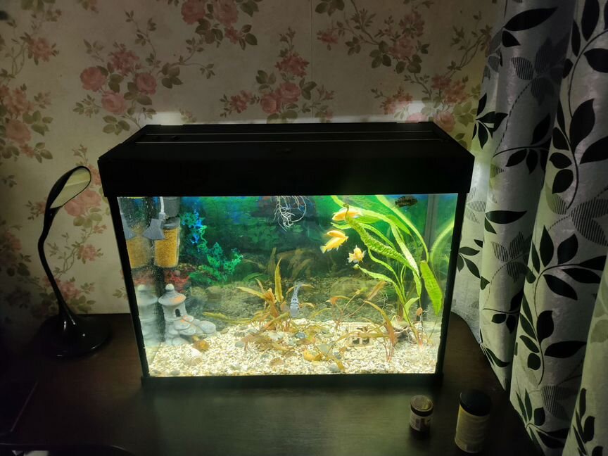 Аквариум 100 л, со всем наполнением